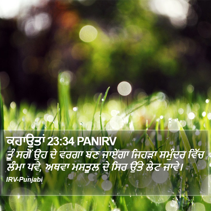 ਕਹਾਉਤਾਂ 23:34 PANIRV - ਤੂੰ ਸਗੋਂ ਉਹ ਦੇ ਵਰਗਾ