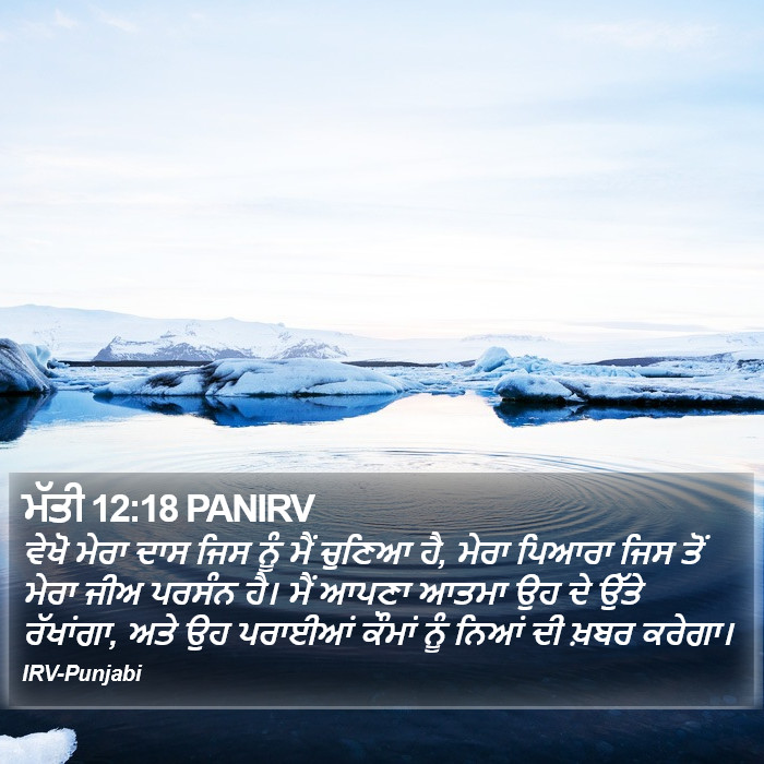 ਮੱਤੀ 12:18 PANIRV - ਵੇਖੋ ਮੇਰਾ ਦਾਸ ਜਿਸ