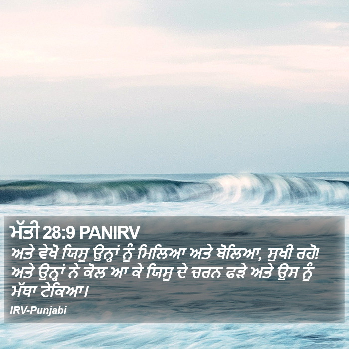 ਮੱਤੀ 28:9 PANIRV - ਅਤੇ ਵੇਖੋ ਯਿਸੂ