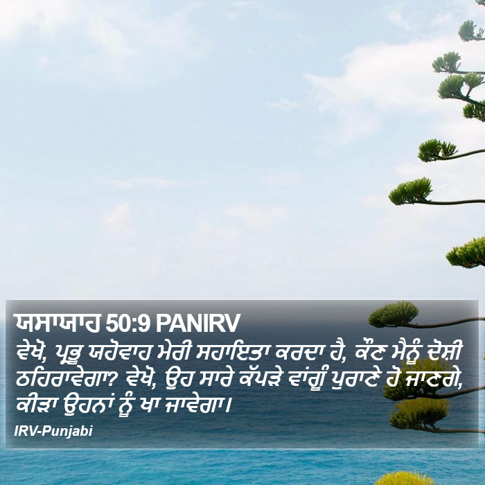 ਯਸਾਯਾਹ 50:9 PANIRV - ਵੇਖੋ, ਪ੍ਰਭੂ ਯਹੋਵਾਹ