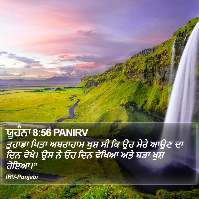 ਯੂਹੰਨਾ 8:56 PANIRV - ਤੁਹਾਡਾ ਪਿਤਾ